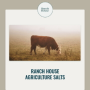 Home - United Salt